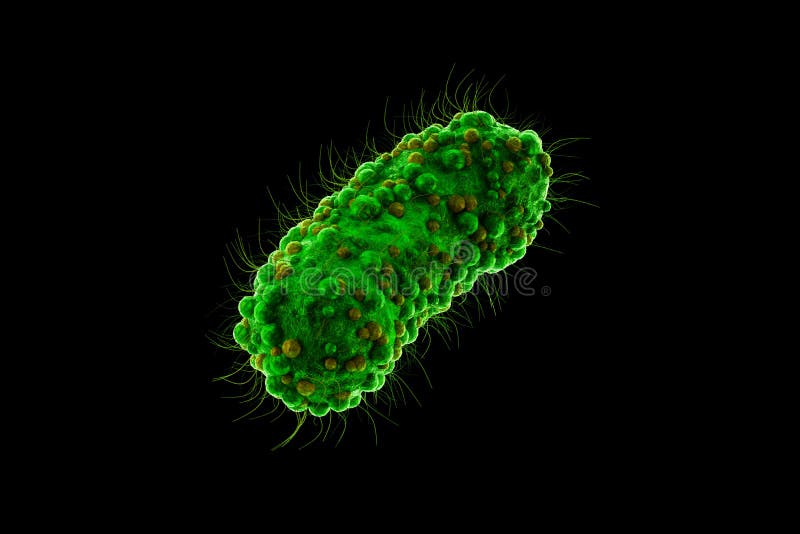 Concept Infectious Agents, Bacteria, Bacilli, E. Coli, Part of the Gut ...