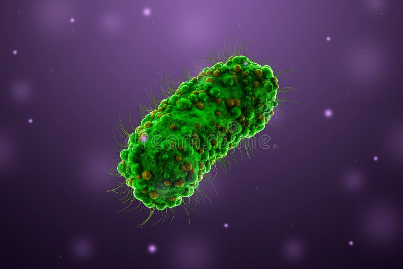 Concept Infectious Agents, Bacteria, Bacilli, E. Coli, Part of the Gut ...