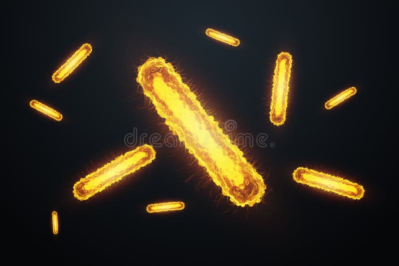 Concept Infectious Agents, Bacteria, Bacilli, E. Coli, Part of the Gut ...