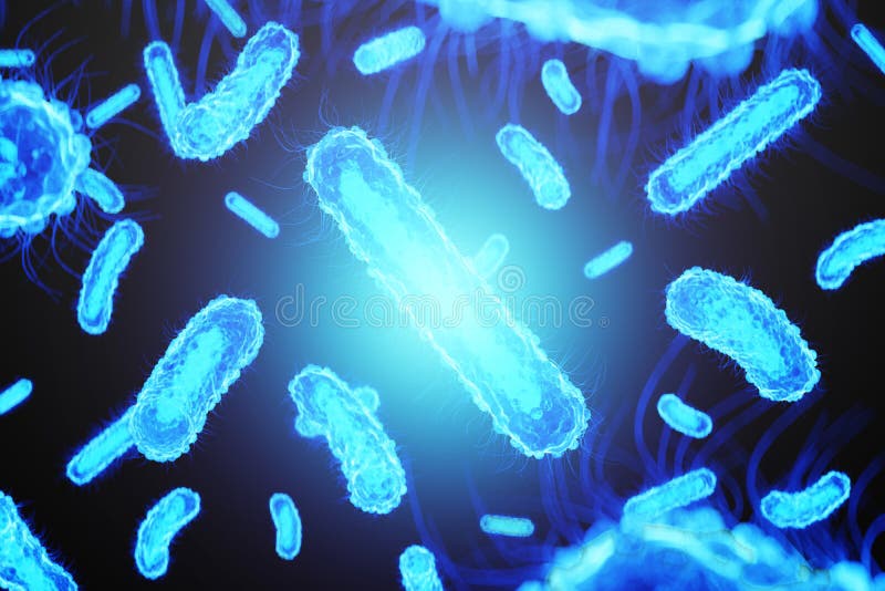 Concept Infectious Agents, Bacteria, Bacilli, E. Coli, Part of the Gut ...