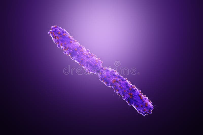 Concept Infectious Agents, Bacteria, Bacilli, E. Coli, Part of the Gut ...