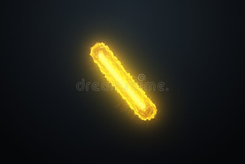 Concept Infectious Agents, Bacteria, Bacilli, E. Coli, Part of the Gut ...