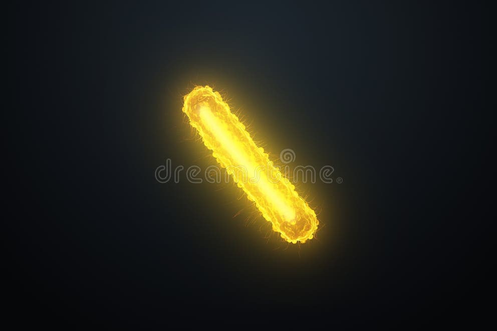 Concept Infectious Agents, Bacteria, Bacilli, E. Coli, Part of the Gut ...