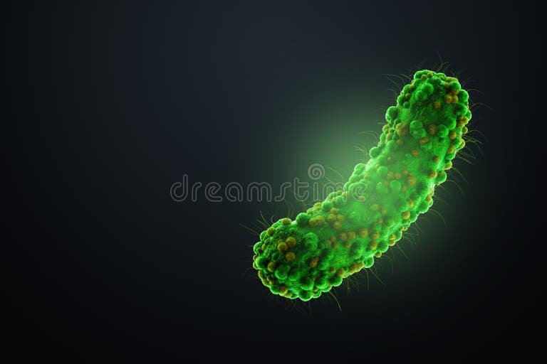 Concept Infectious Agents, Bacteria, Bacilli, E. Coli, Part of the Gut ...