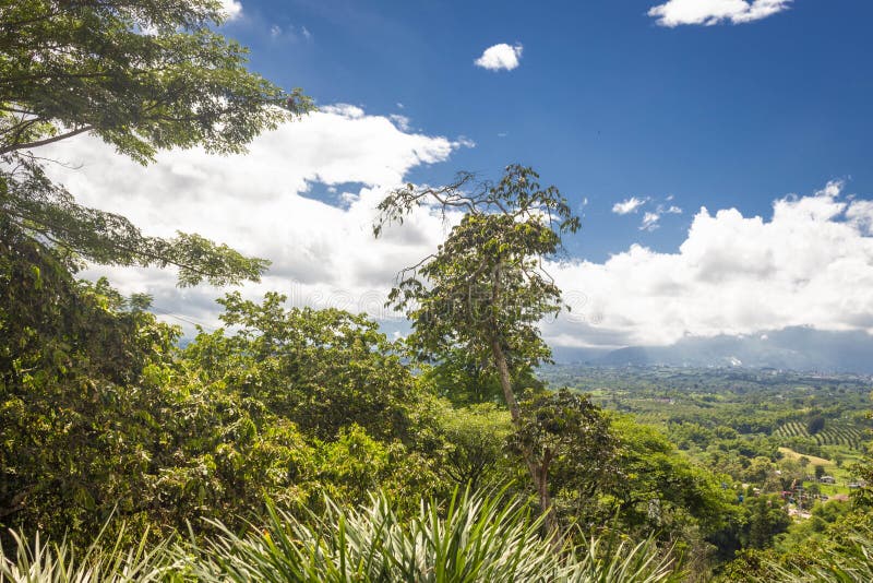 Colombian Landscapes. Green Mountains in Colombia, Latin America Stock ...