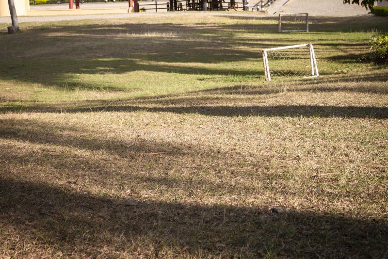 Grass burnt by the sun stock image. Image of field, extension - 198795549