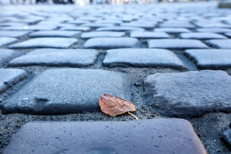 The Concept of the Last Autumn Days. Dry Yellow Leaf on the Old ...