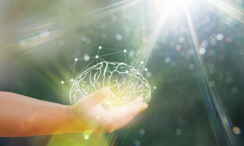 The Health of Young Children and the Evolution of Children on the ...