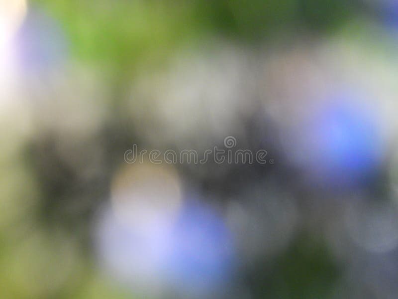 The Concept of Light Effects in the Form of Blur Creates a Mesmerizing ...