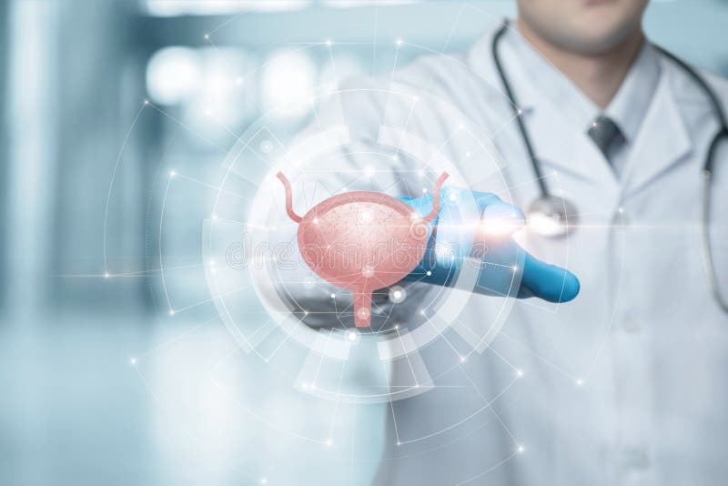 Concept Modern Technologies in the Study of Diseases of the Bladder ...