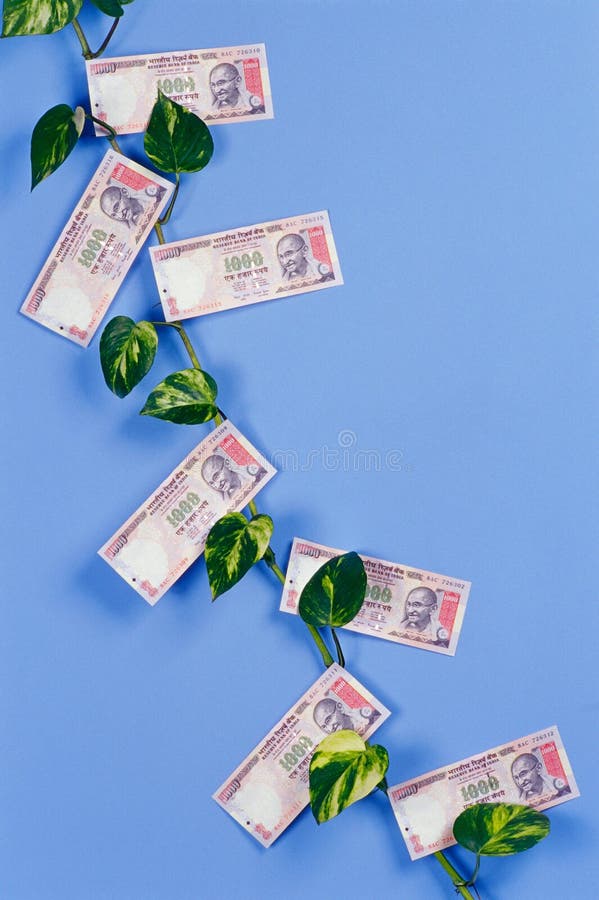 Money Growing on Tree Plant Editorial Stock Image - Image of tree ...