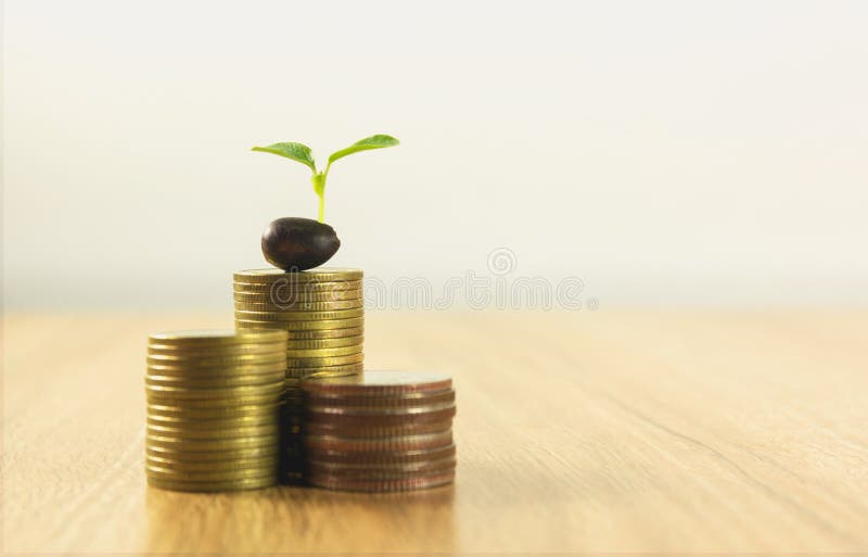 Concept of Money Tree Growing from Money on Wooden Table. Stock Photo ...