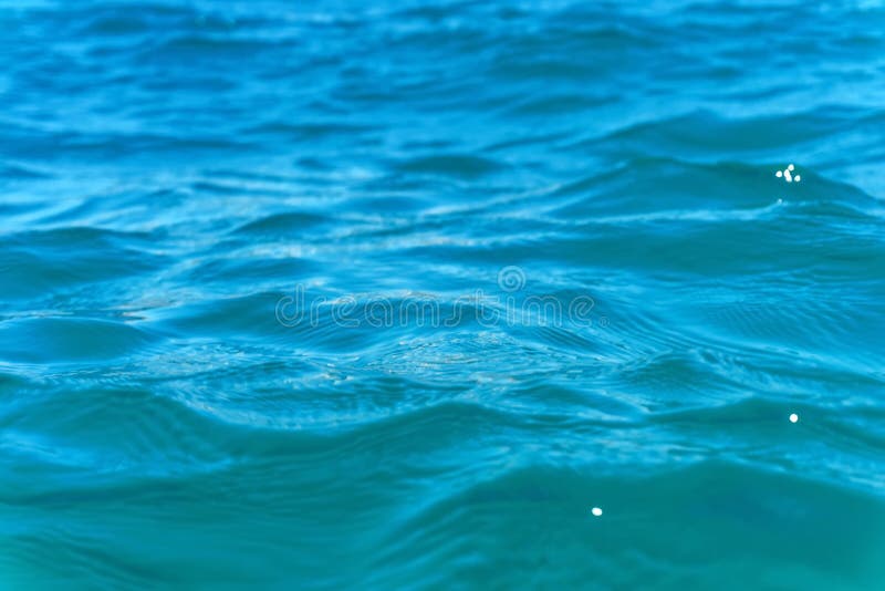 The Concept of Natural Backgrounds and Textures, Wallpapers, Saving the ...