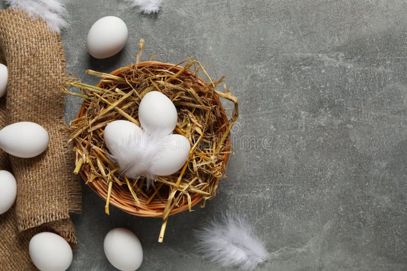 Concept of Natural Farm Product - Eggs, Top View Stock Image - Image of ...