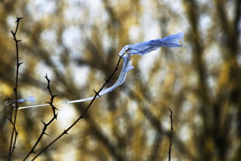 Reject Climate Stock Photos - Free & Royalty-Free Stock Photos from ...