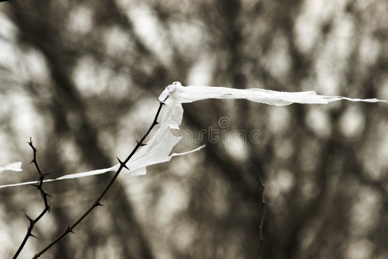 Reject Climate Stock Photos - Free & Royalty-Free Stock Photos from ...