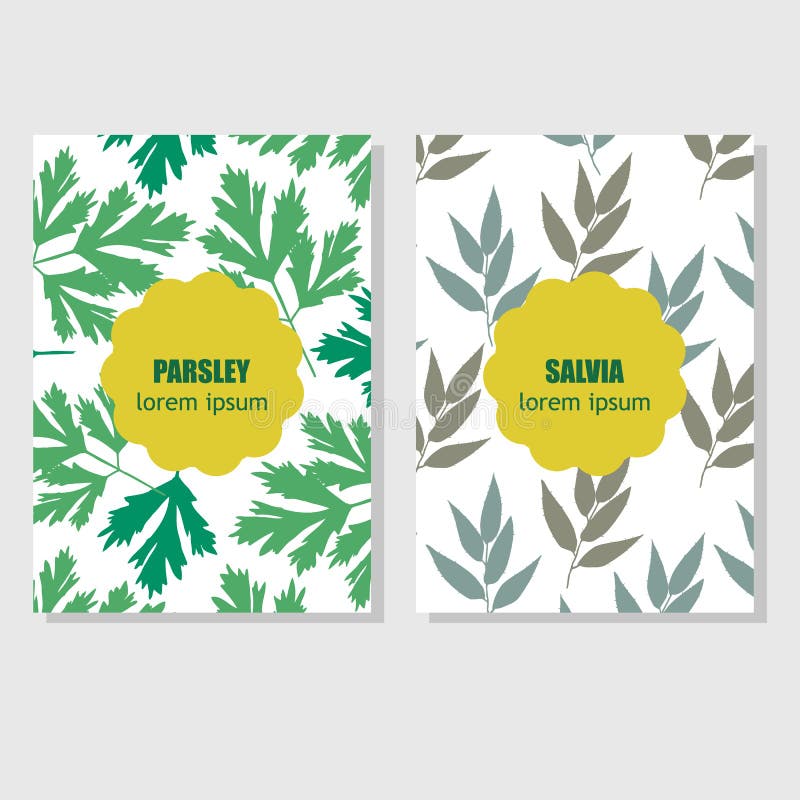 Aromatic Herbs Set. Fresh Herbs and Spices Set. Vector Illustration ...