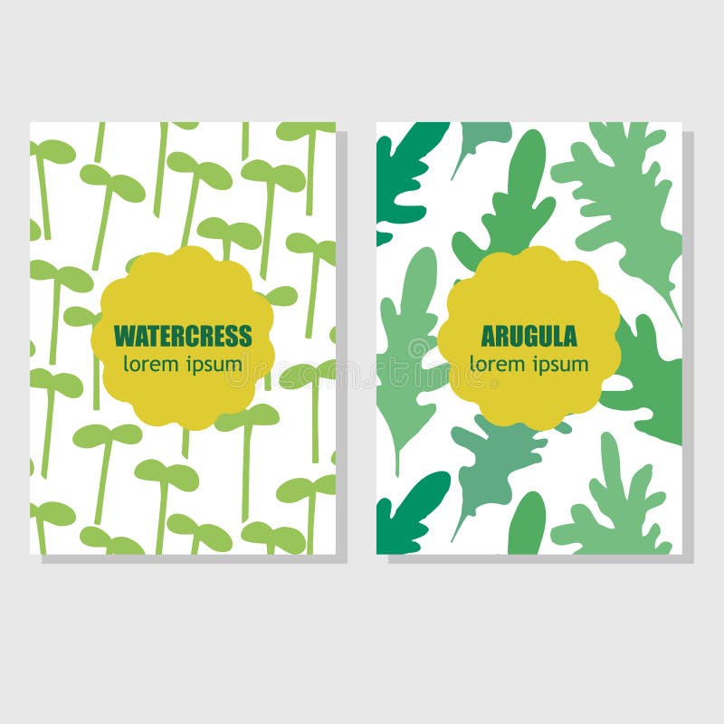 Aromatic Herbs Set. Fresh Herbs and Spices Set. Vector Illustration ...