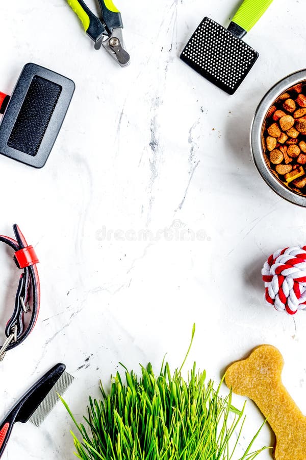 Concept Pet Care and Training on Stone Background Top View Stock Photo ...