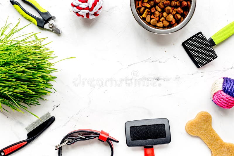 Concept Pet Care and Training on Stone Background Top View Stock Photo ...