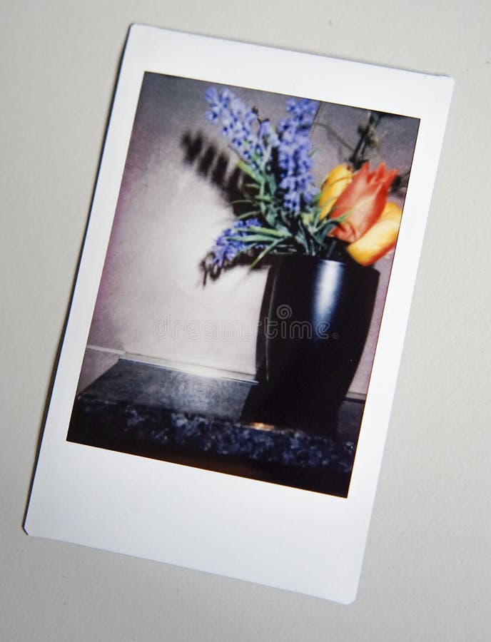 Concept Photo with the Result of an Instant Image of Flowers Stock ...