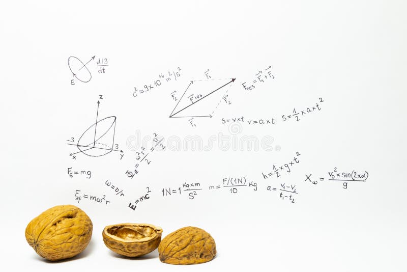Phrase Physics in a Nutshell Stock Photo - Image of learn, object ...