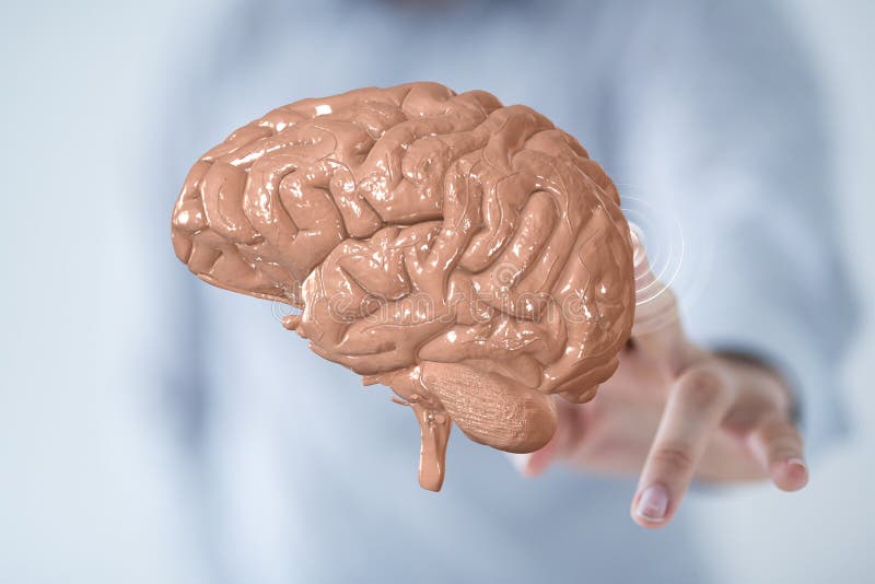 Think Creative Brain Network Neurogen Digital Stock Image - Image of ...