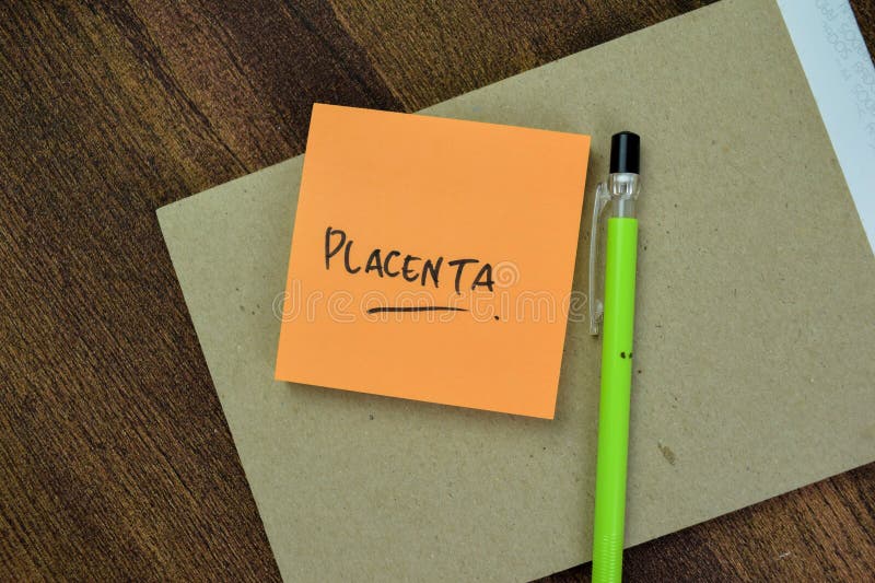 Concept of Placenta Write on Sticky Notes Isolated on Wooden Table ...