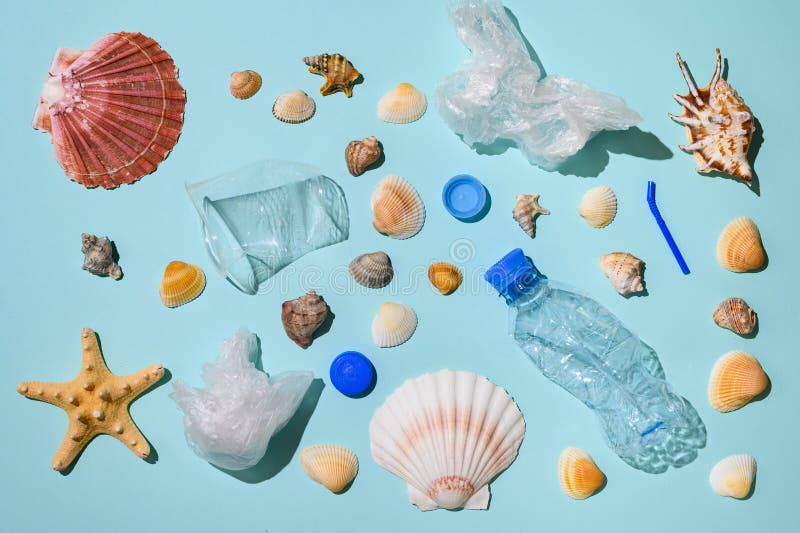 The Concept of Pollution of the Seas with Garbage. Seashells and ...