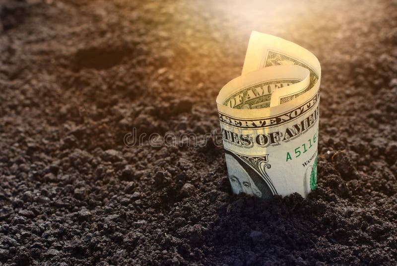 Dollar Earning Grows from the Black Earth Stock Image - Image of ...