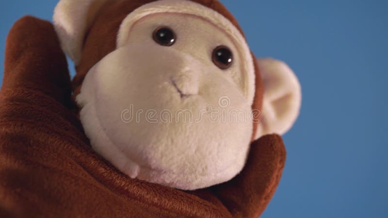 Soft Puppet Toy on Hand on Blue Background. Concept of Puppet Show ...