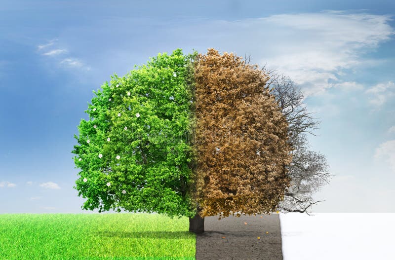 Concept of changes. stock photo. Image of doubleness - 73041294