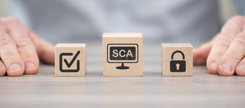Concept of sca stock image. Image of encoding, concept - 282198179