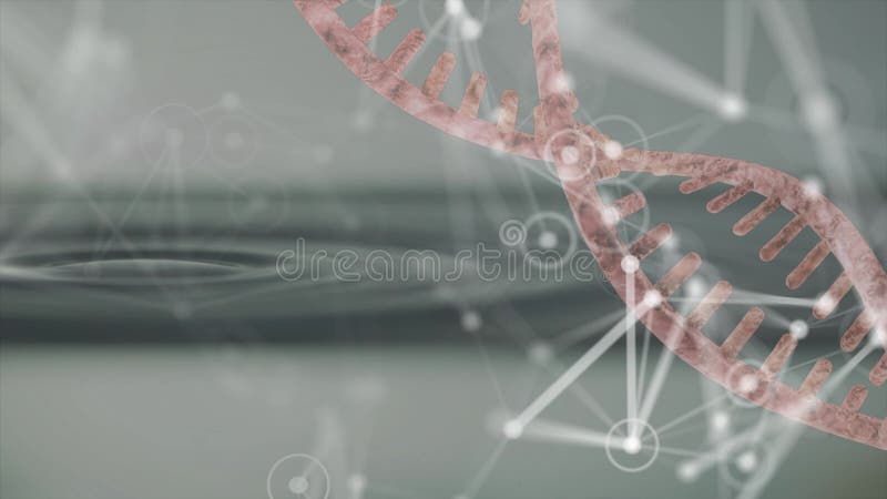 The Concept of Schematic Mapping of the Formation of a Genetic Chain in ...