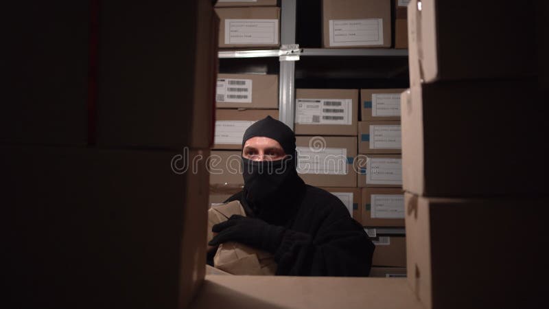 Concept of Security Problems in Warehouses. Thief in a Black Mask ...