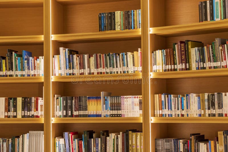Concept Shot of the Shelves in the Library. Education Editorial ...