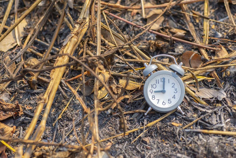 The Concept Shows the Meaning of Time with the Image of a Clock Placed ...