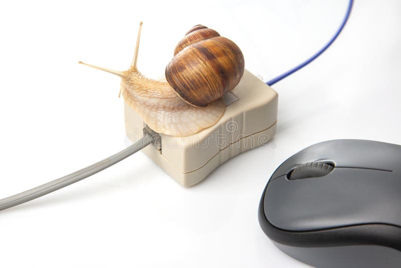 The Concept of Slow Internet and Working with a Computer. Snail on the ...