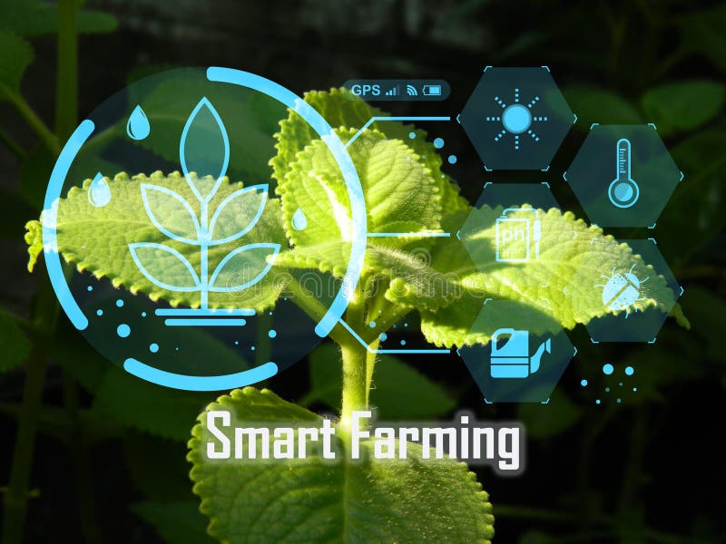 Concept Smart Farming Technology Management Stock Image - Image of ...
