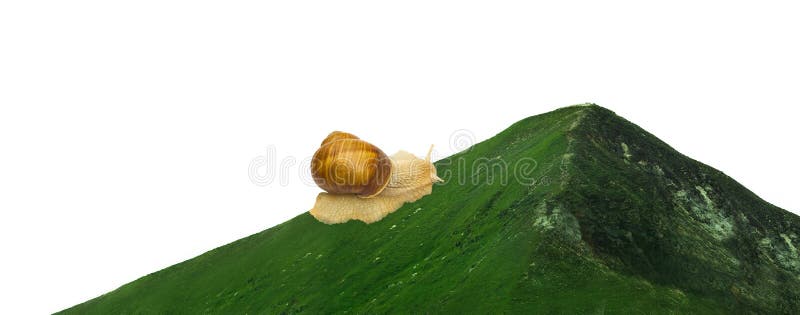 Snail Mountain! stock image. Image of animal, snails - 40930313