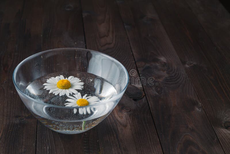 Concept of Spa Treatment with Water and Daisy Stock Image - Image of ...