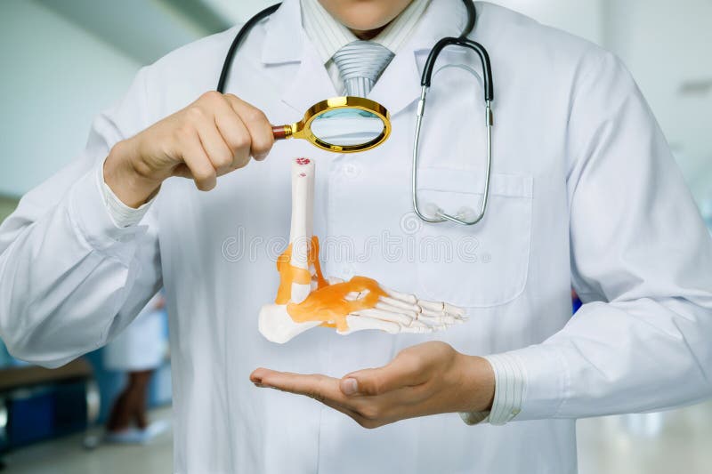 The Concept of the Study of the Ankle Joint Stock Photo - Image of male ...