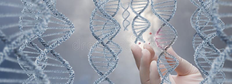 Study of DNA Molecules for Their Destruction and Decay Stock Photo ...
