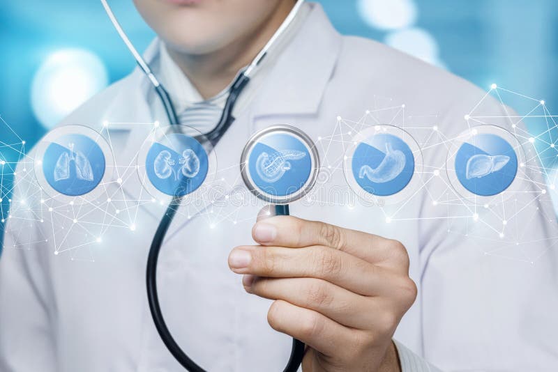 The Concept Study of the Internal Organs Stock Photo - Image of figure ...