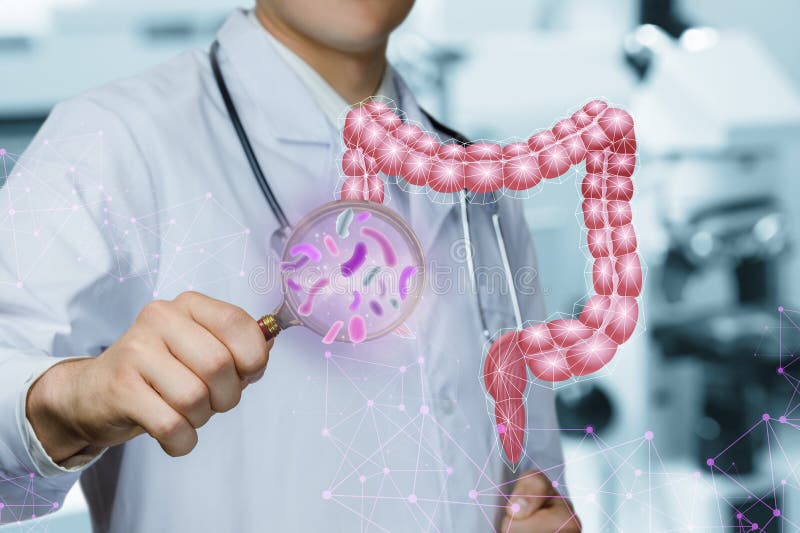 Concept Study of Intestinal Microflora Stock Image - Image of healthy ...