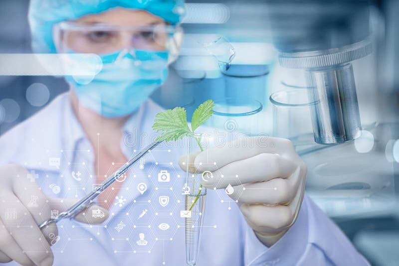 The Concept of Study and Research with of Sample Stock Image - Image of ...