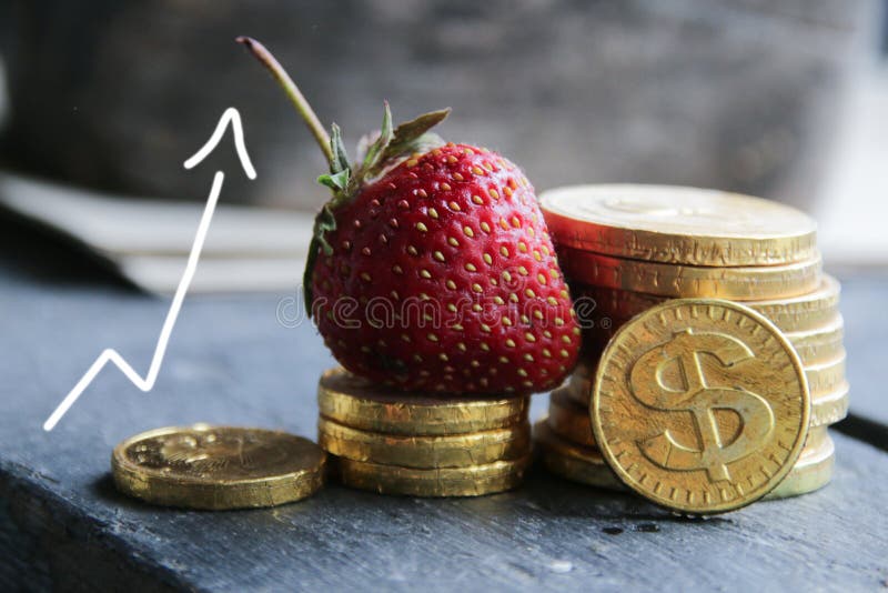 The Concept of a Successful Business. Increase in Income, Salary Stock ...