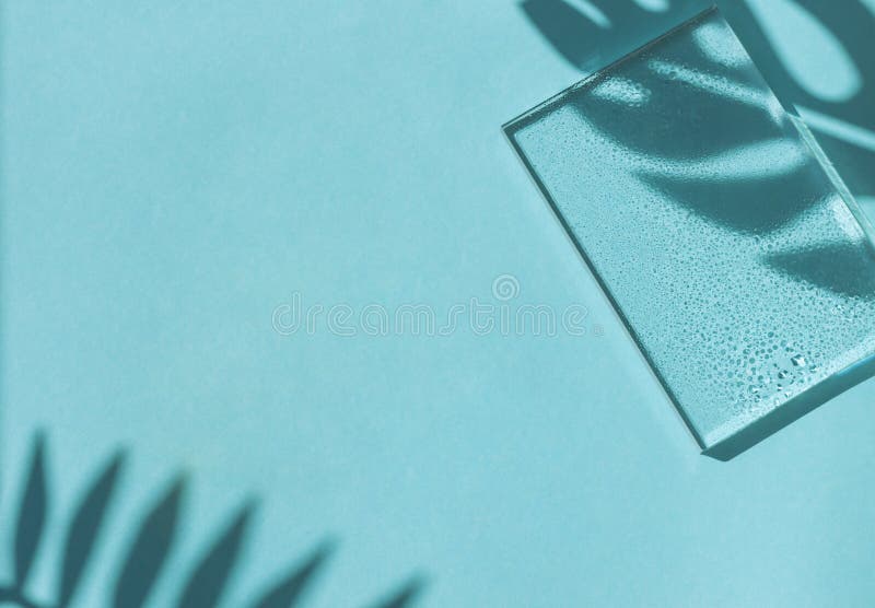 Concept Summer Blue Background with Tropical Leaves Shadows. Stock ...