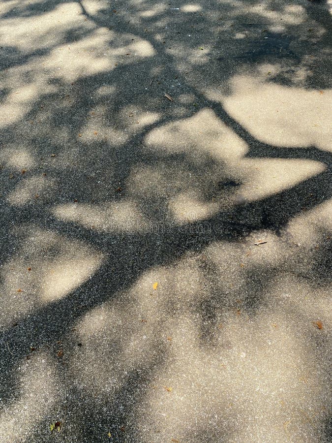 Tree Shade on the Road, Sunny Day. Monochrome Tree Shadow on the Ground ...