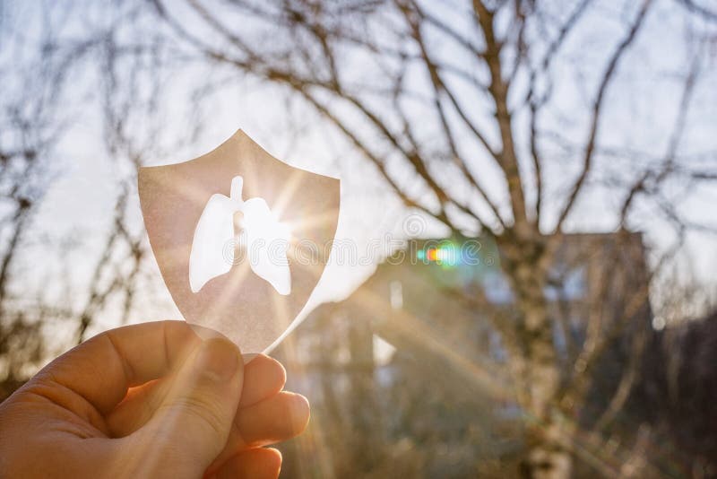 Concept of Support for and Treatment of Lungs and Protection Against ...